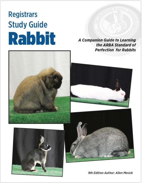 A Complete Guide To The Best Rabbit Breeds In 2020
