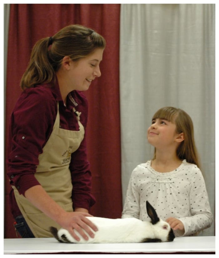 About the ARBA – ARBA