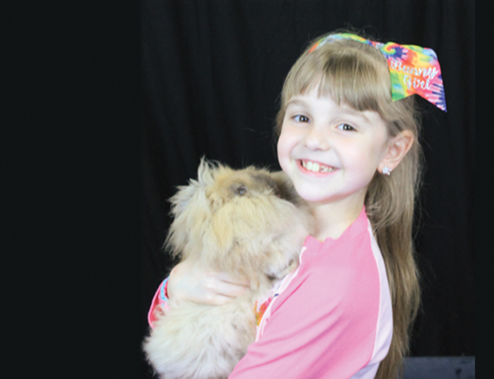 Rabbit Showmanship – ARBA