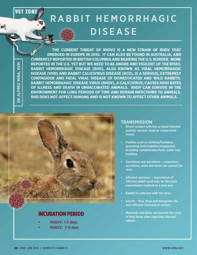 RHDV2 and your Herd – ARBA