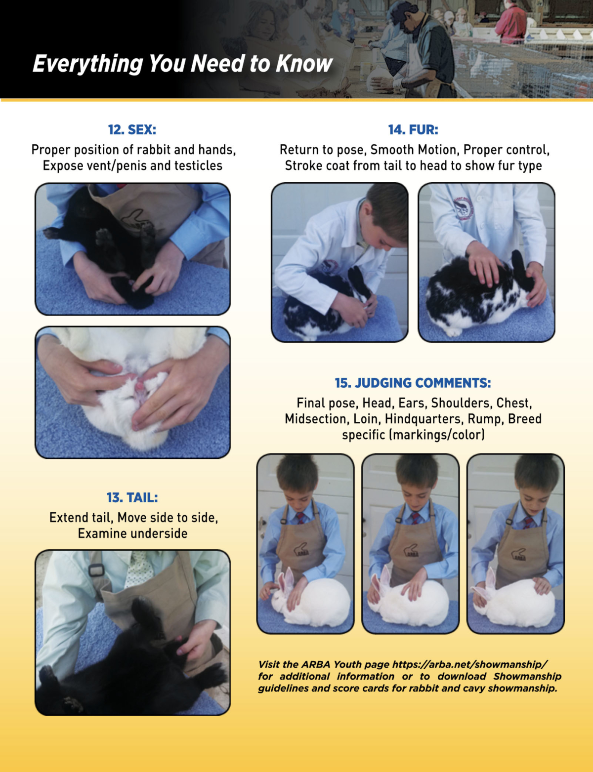 Rabbit Showmanship Arba