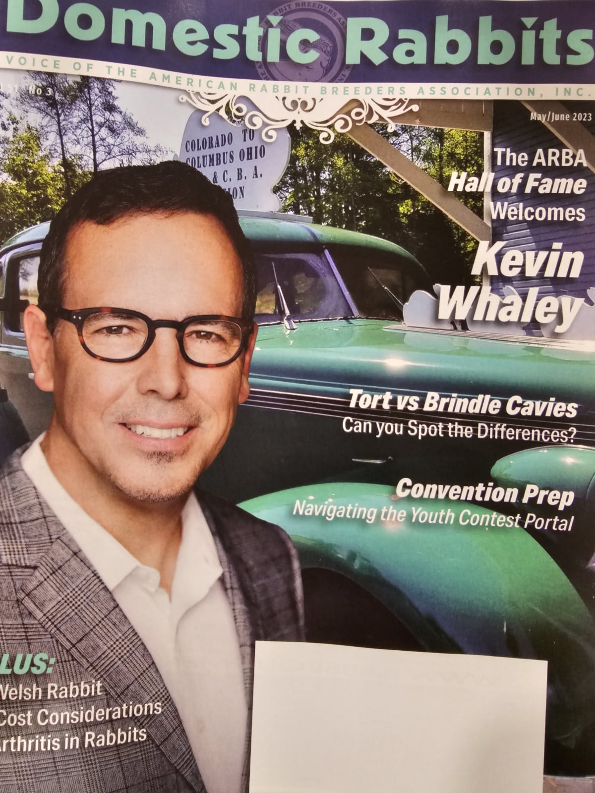 Back Issues of Domestic Rabbits Magazine – ARBA