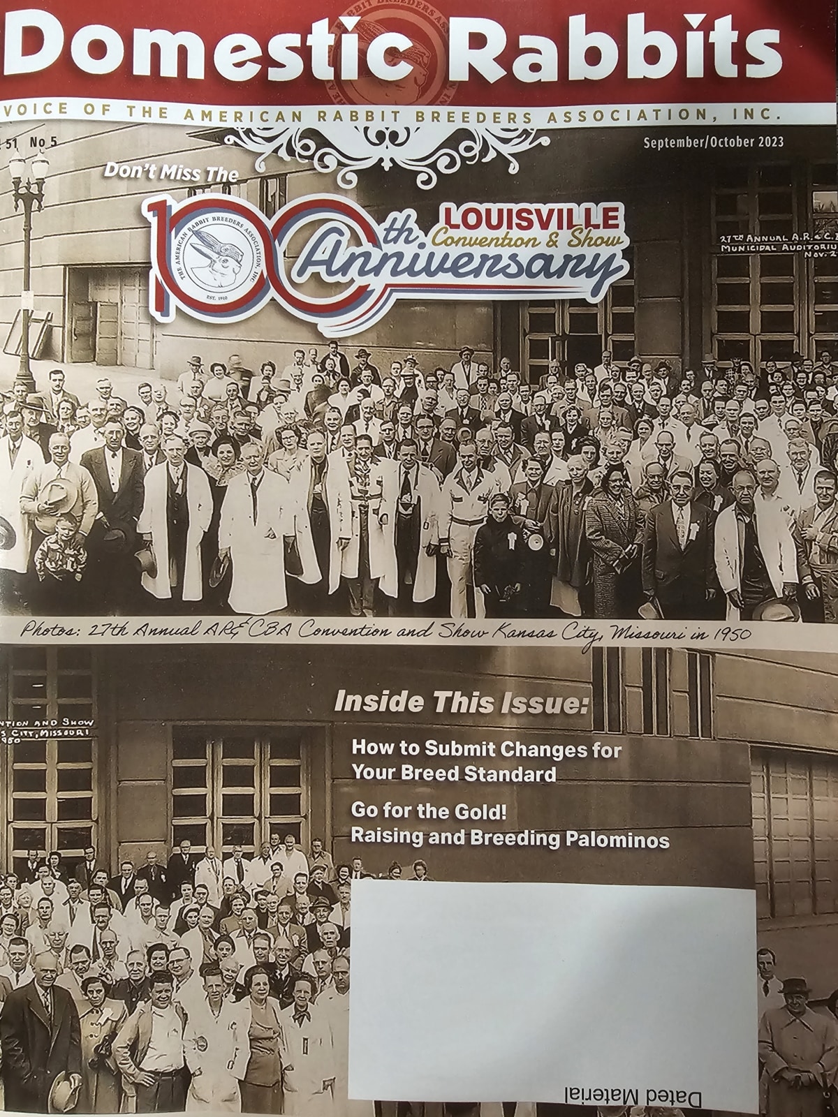 Domestic Rabbit Guide – ARBA