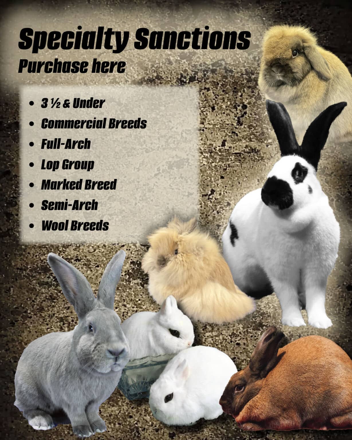 ARBA Store – ARBA